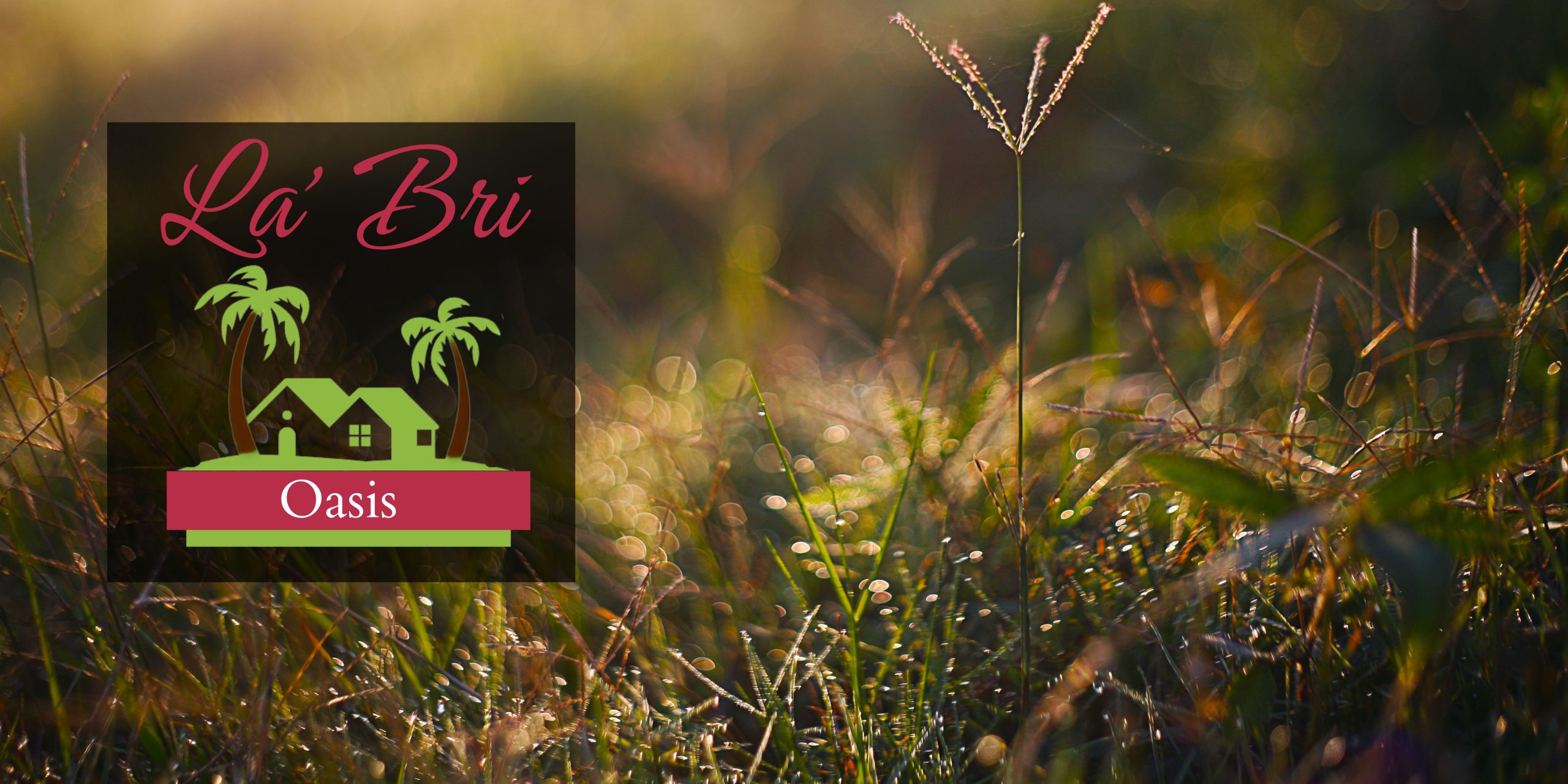 Labri Logo Camping L'Abri Côtier For A Holiday In Charente Maritime